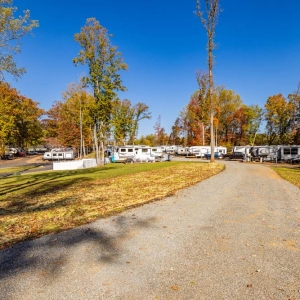 RV Sites - Madison Vines RV Resort & Cottages